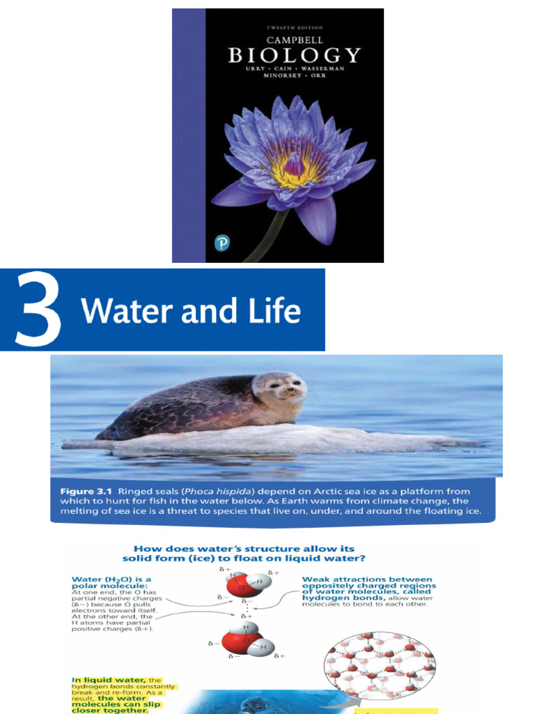Water and Life | PDF | Ph | Buffer Solution