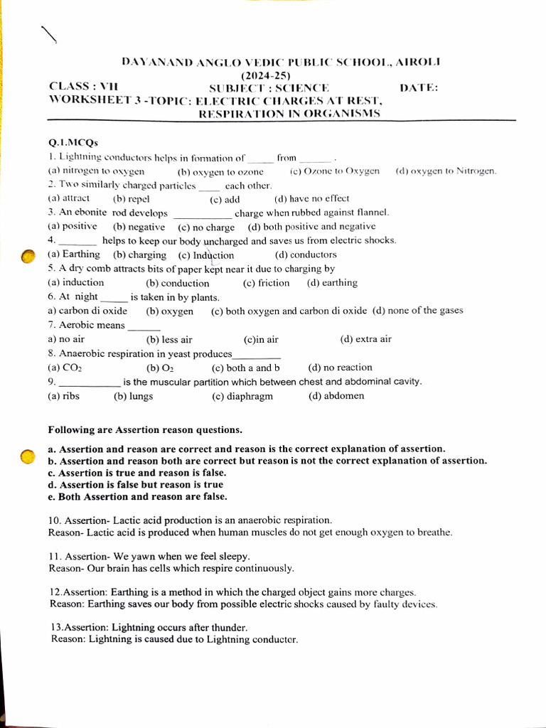 Grade 7 Science Worksheet | PDF | Plants | Oxygen