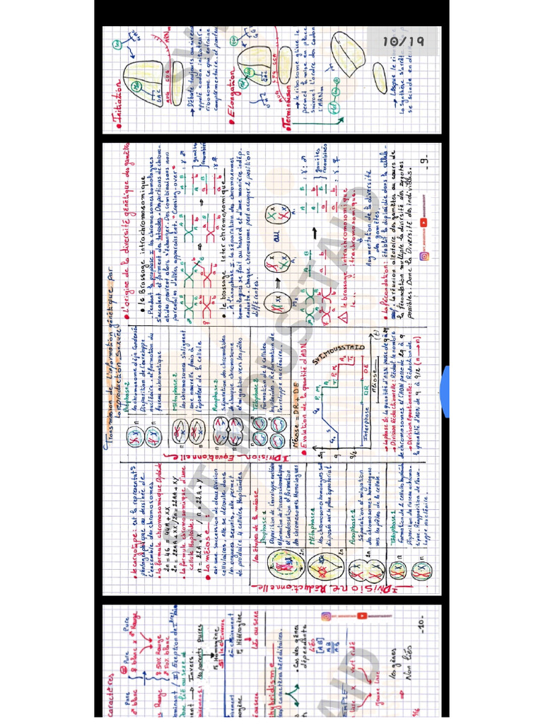 PDF - 20241121 - 105309 | PDF