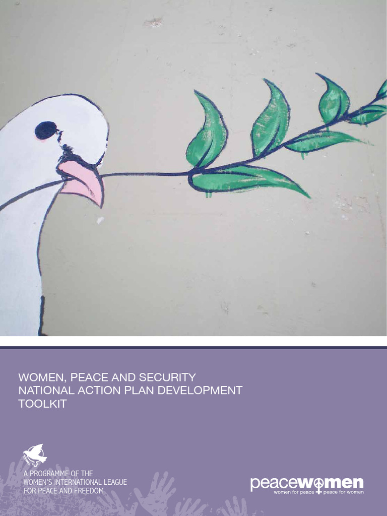 National Action Plan Development Toolkit | PDF | Peacebuilding ...