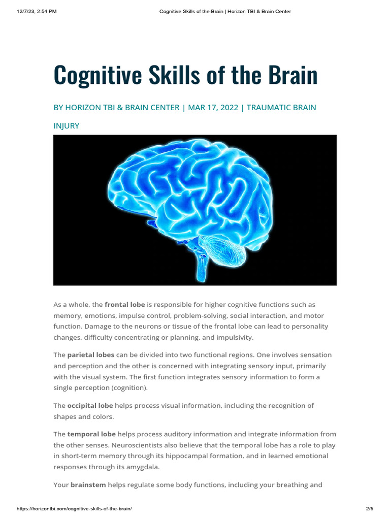 Cognitive Skills of The Brain | PDF