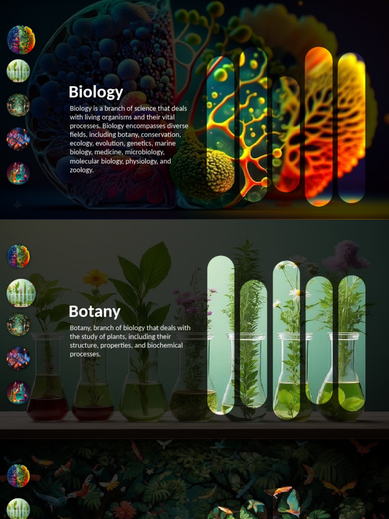 Creative Image Sliders in PowerPoint Stunning Presentations With Morph ...