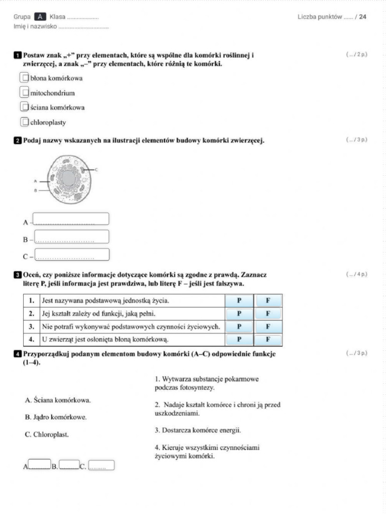 Biologia Test Z Działu 1 Klasa 5 | PDF