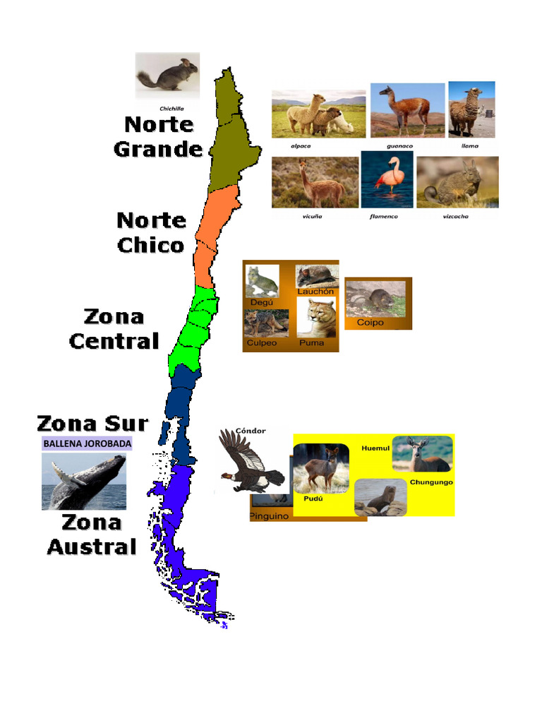 Mapa Chile Fauna | PDF