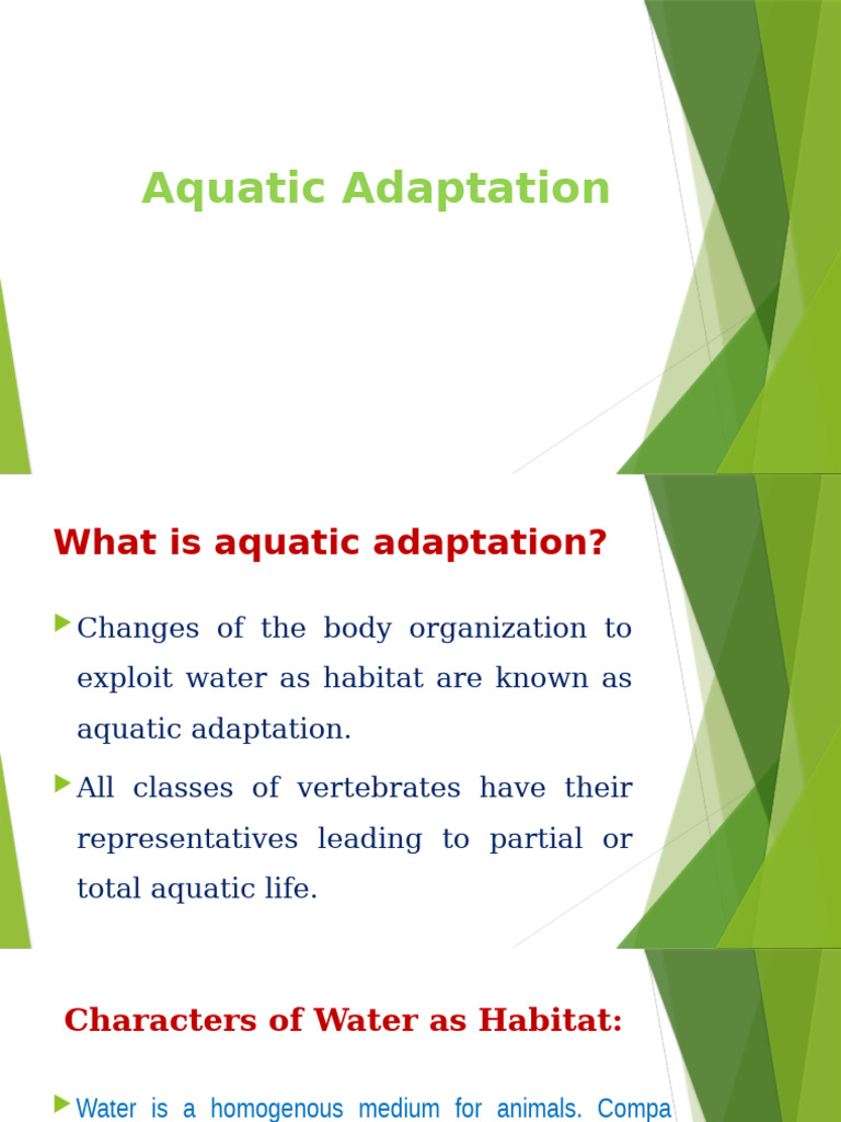 1584 Aquatic Adaptation | PDF