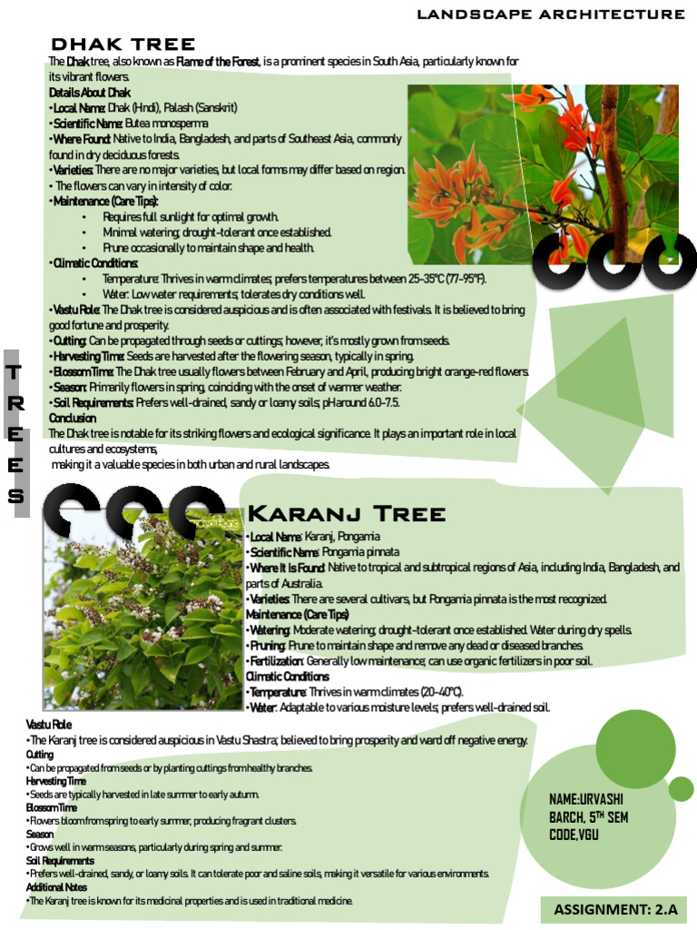 A2 Landscape | PDF | Soil | Pruning