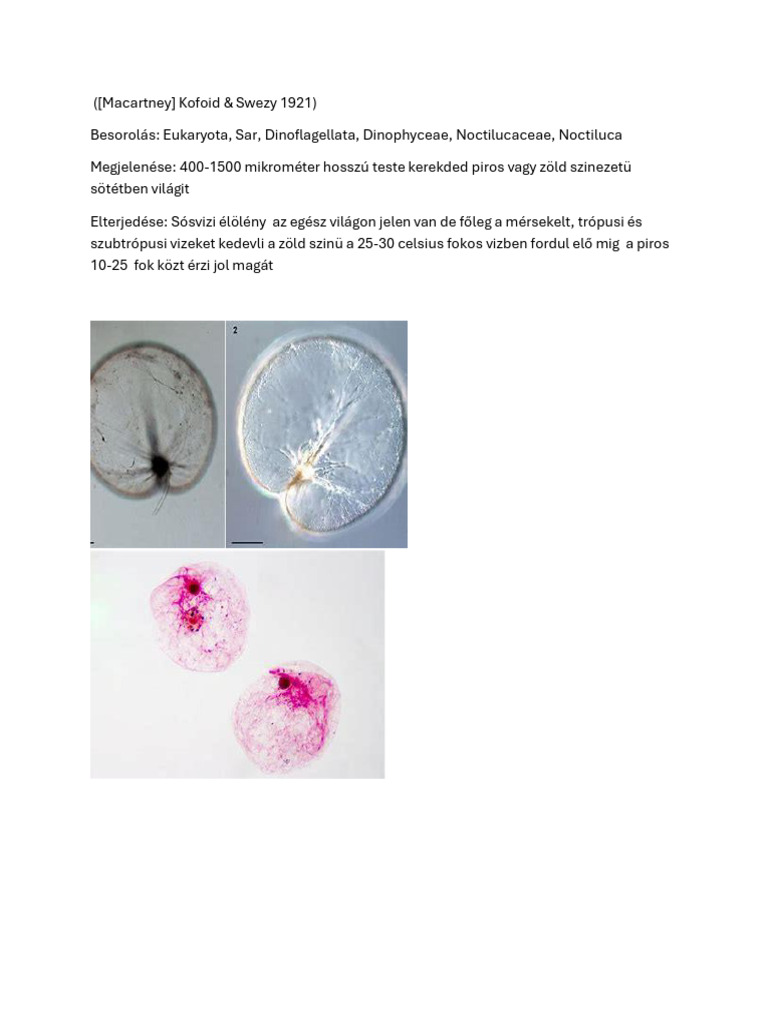 Noctiluca Scintillas | PDF