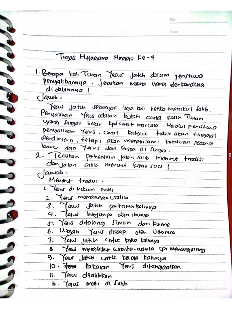 Anatomi - Pussy - Valencia Dwi Ayu Puriandari | PDF