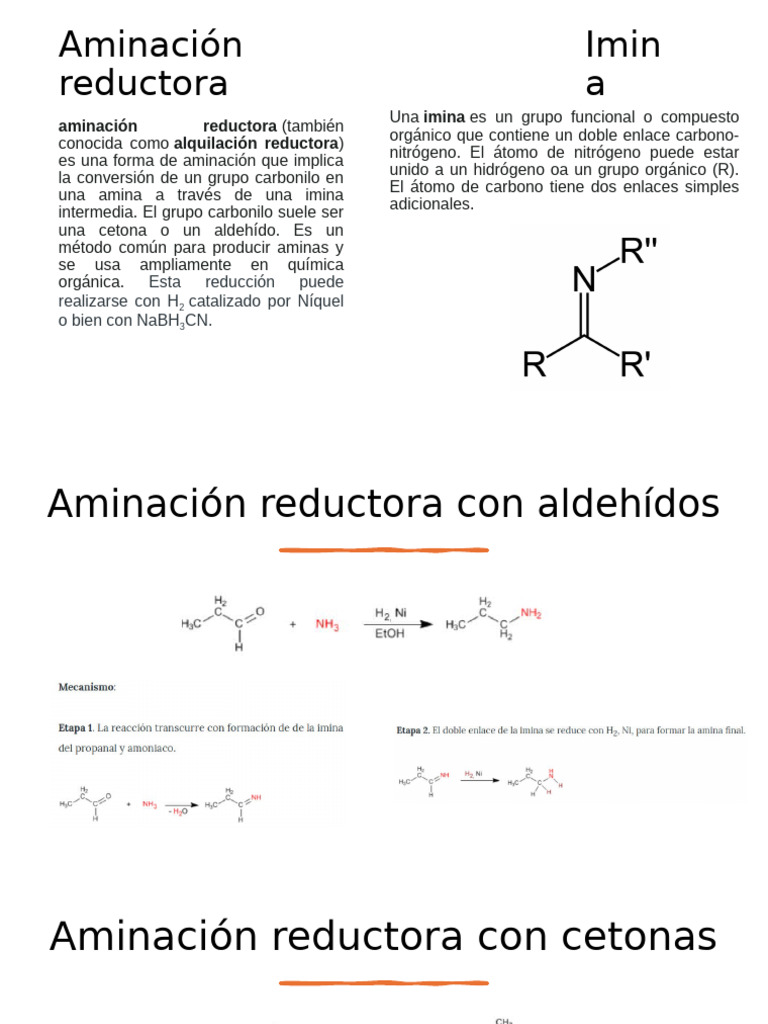Aminación Reductora | PDF