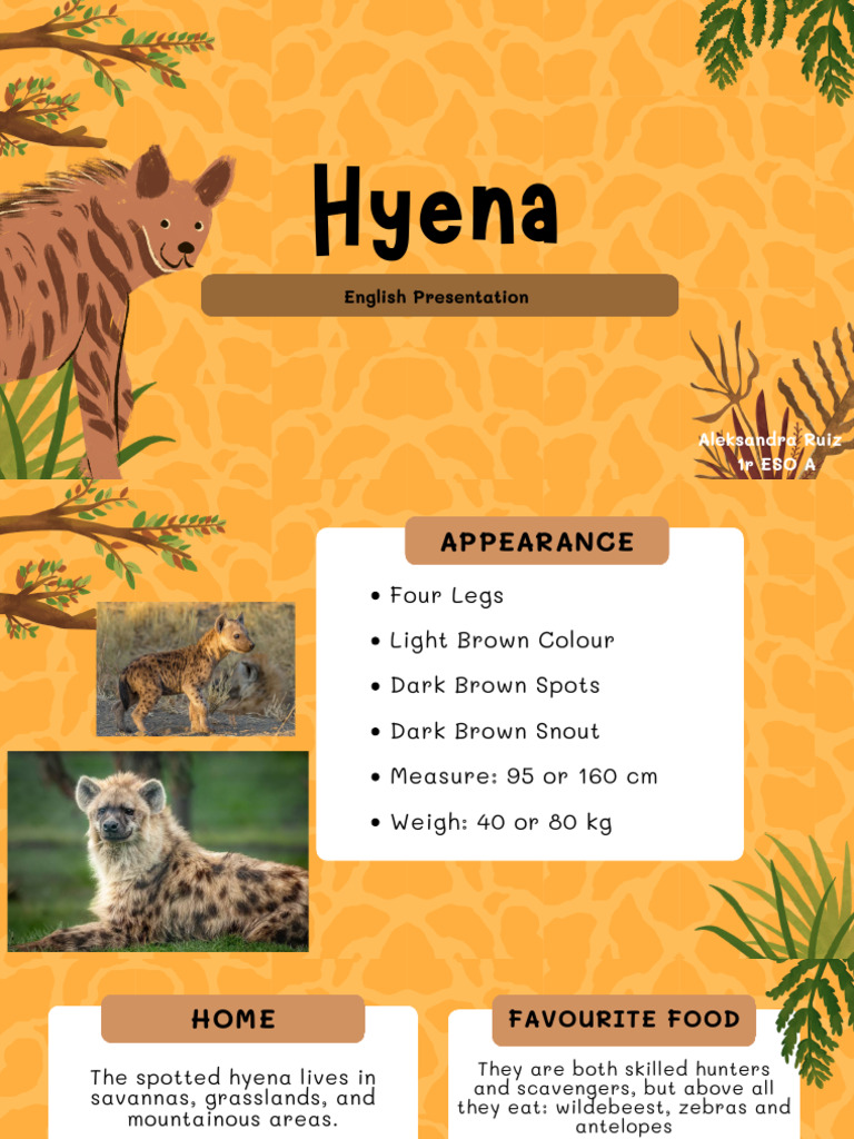 Hyena | PDF