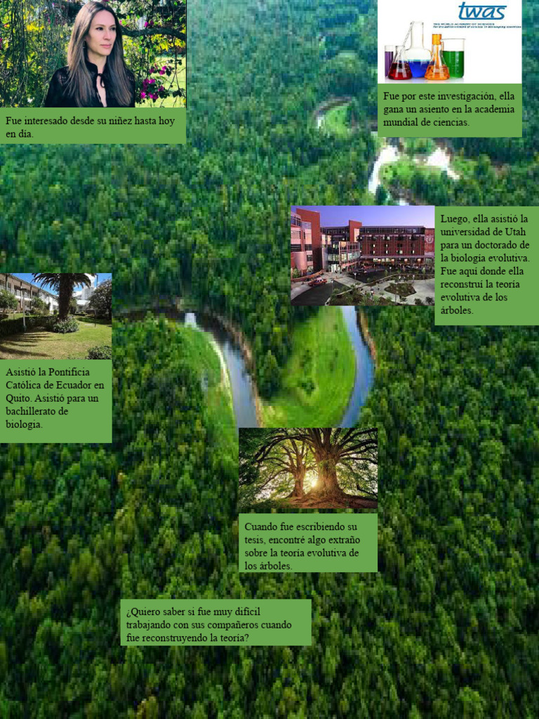 Maria Jose Endara | PDF