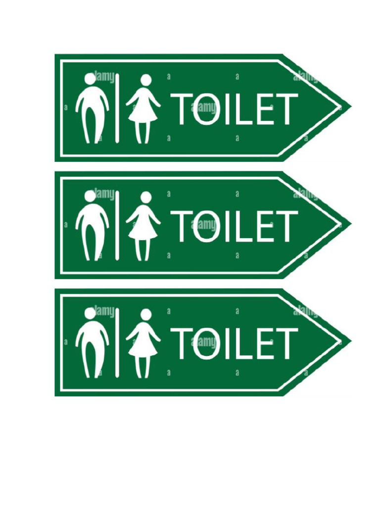 DIRECTION Toilet | PDF