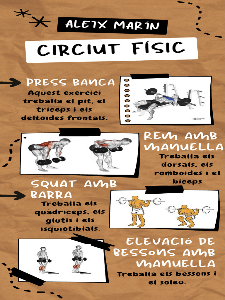 Aleix Marín - Circuit Físic | PDF