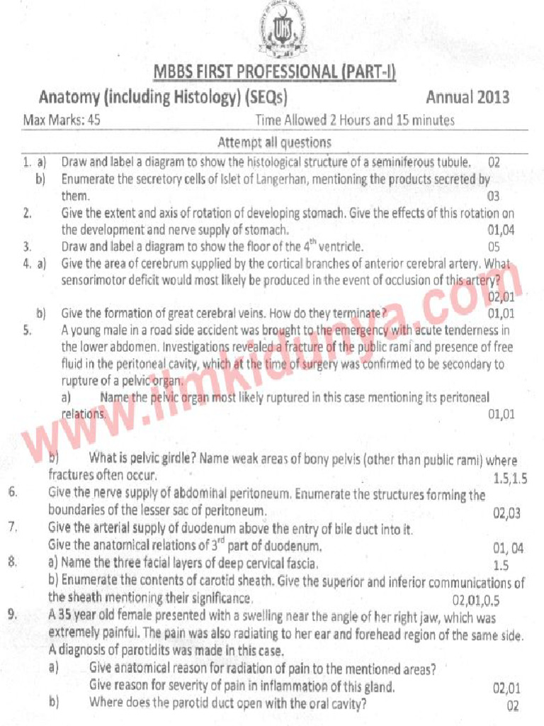 UHS Past Papers MBBS Part 1 Anatomy 2013 Annual | PDF