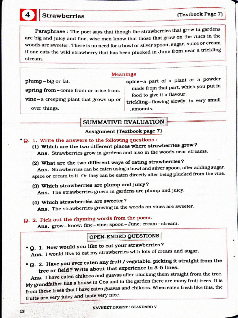 5th English Lesson 4 | PDF