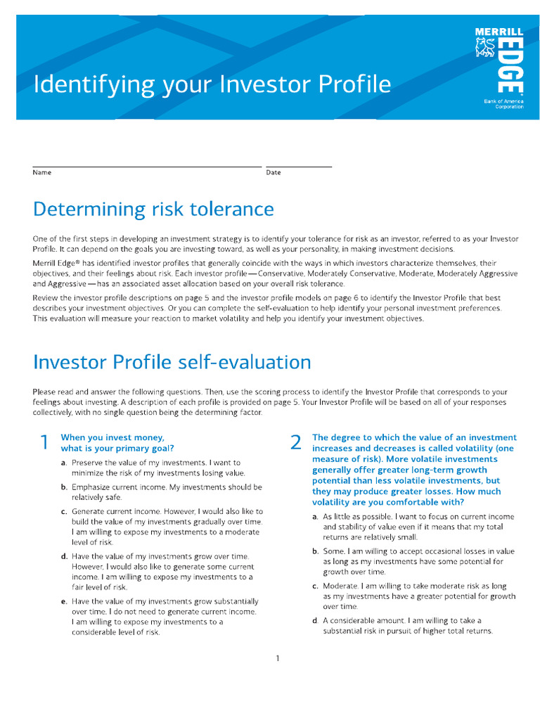 Investor Profile Sample SlrMqNgHOT | PDF