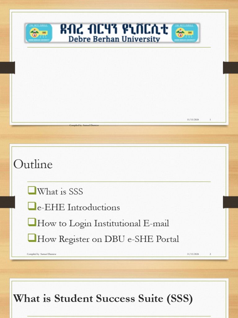 E-SHE Introduction | PDF | World Wide Web | Internet & Web