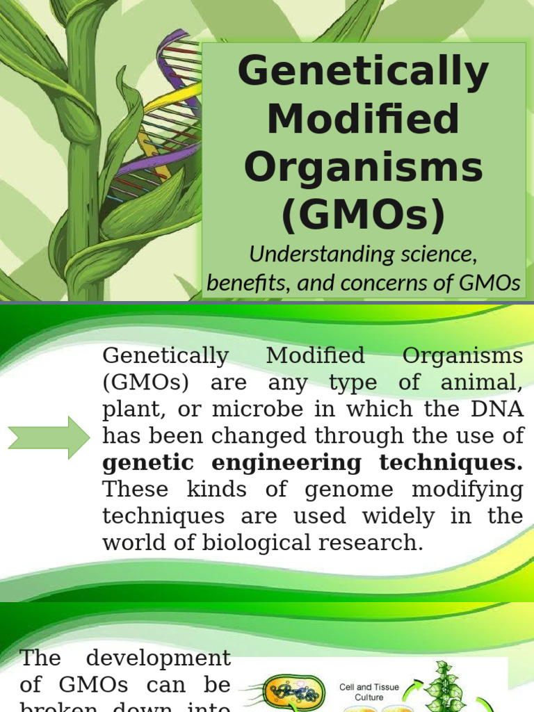 CLIEFORD | PDF | Genetically Modified Organism | Gene Therapy