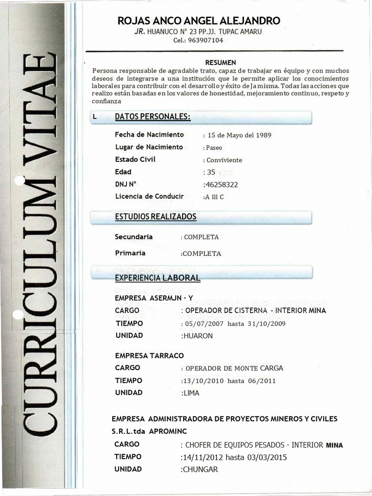 CV Rojas Angel Anco ..2024 | PDF