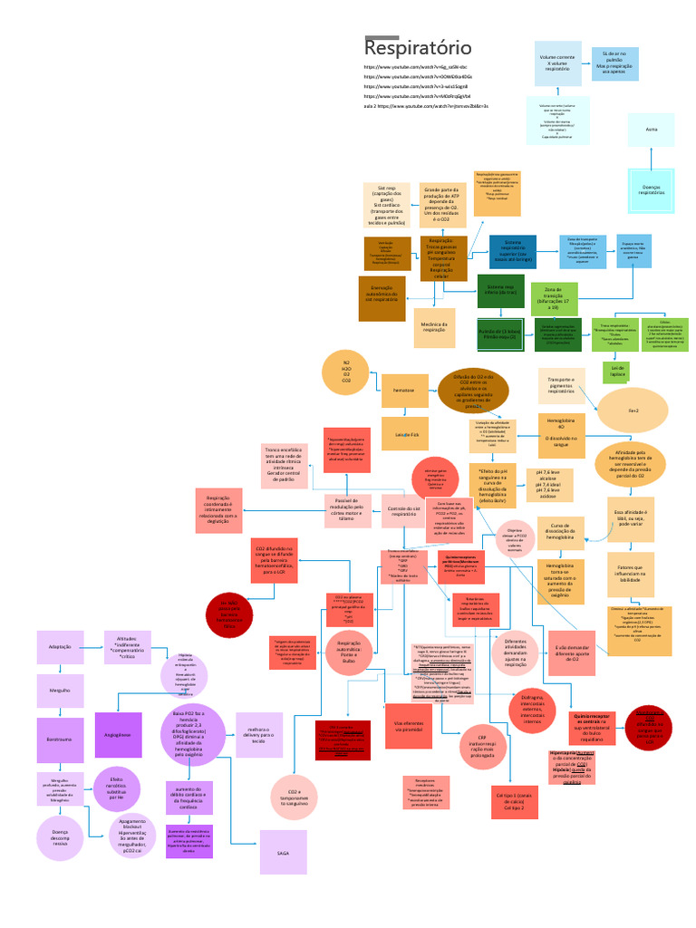 Fisiologia Humana Sistema Respiratório Mapa Mental Resourceprovider - Ashx | PDF | Sistema ...