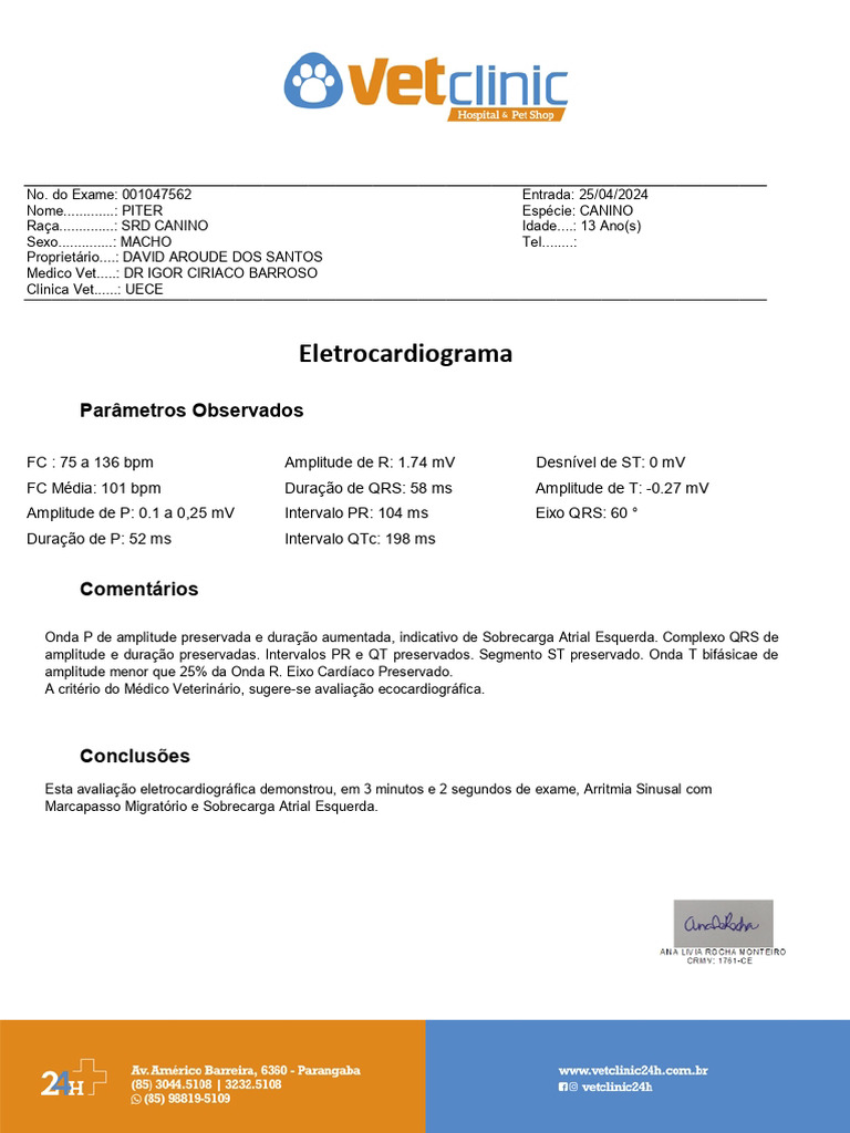 Eletrocardiograma Piter | PDF | Eletrocardiografia | Cardiologia