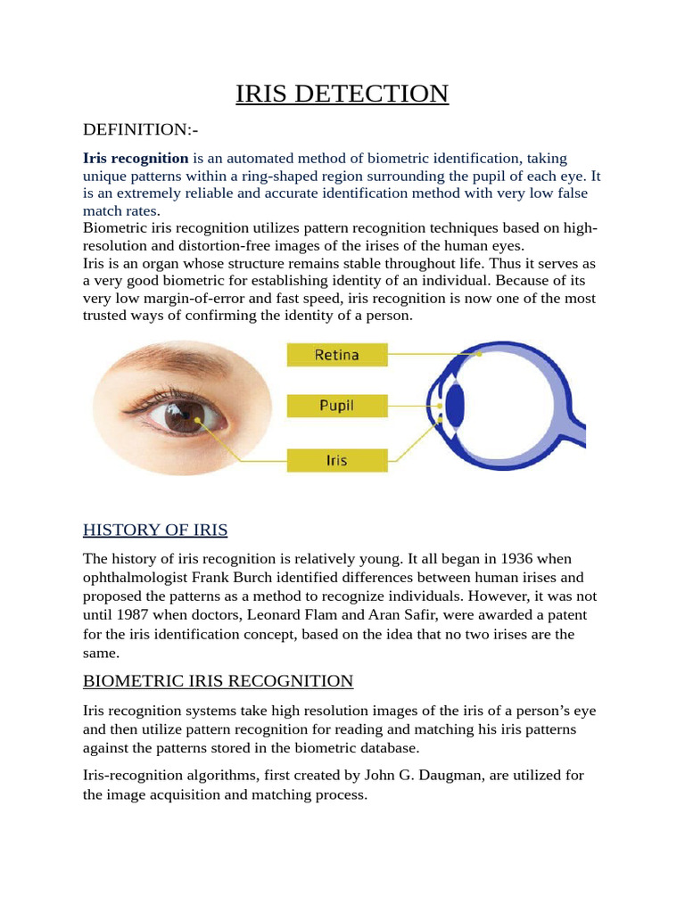 Iris Detection | PDF | Biometrics | Vision