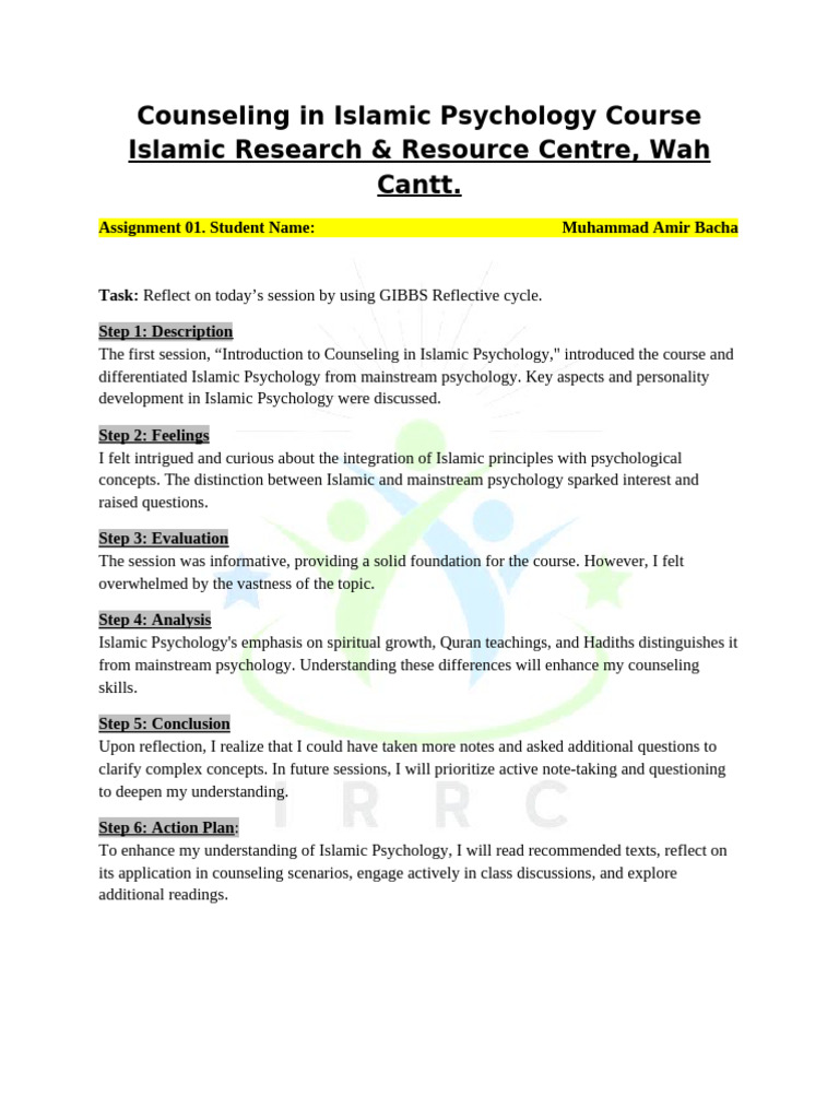 Muhammad Amir Bacha, Assignmnet 1 | PDF | Career & Growth