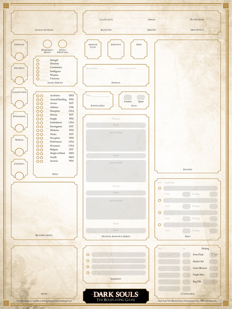 DSRPG-Character-Sheet-Fillable | PDF | Gaming | Role Playing Video Games