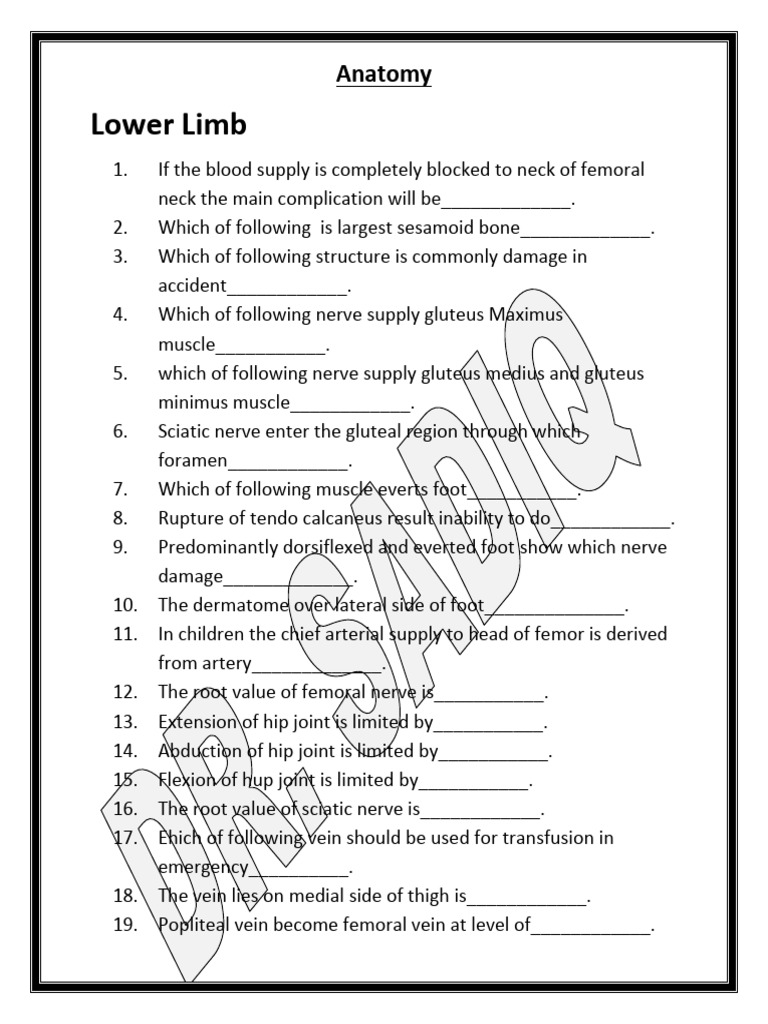 lower limb | PDF | Human Leg | Lower Limb Anatomy