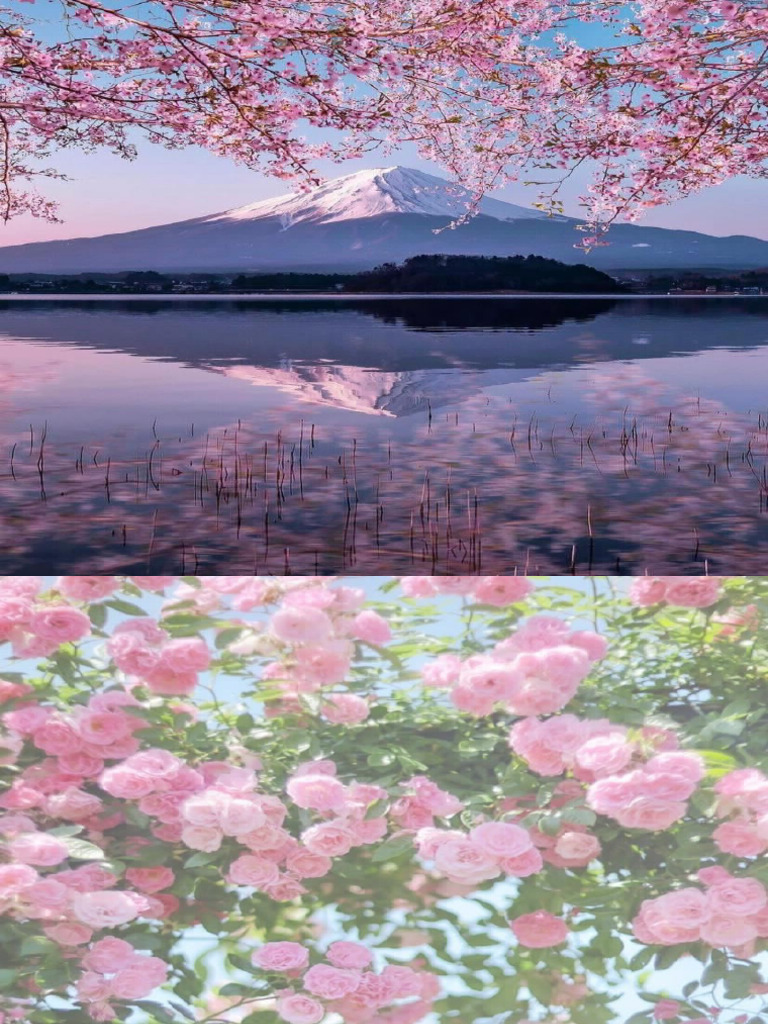 Presentation1 Nihon Kyoka 2 | PDF