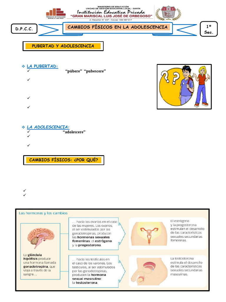 CAMBIOS FISICOS EN LA ADOLESCENCIA | PDF | Adolescencia | Pubertad