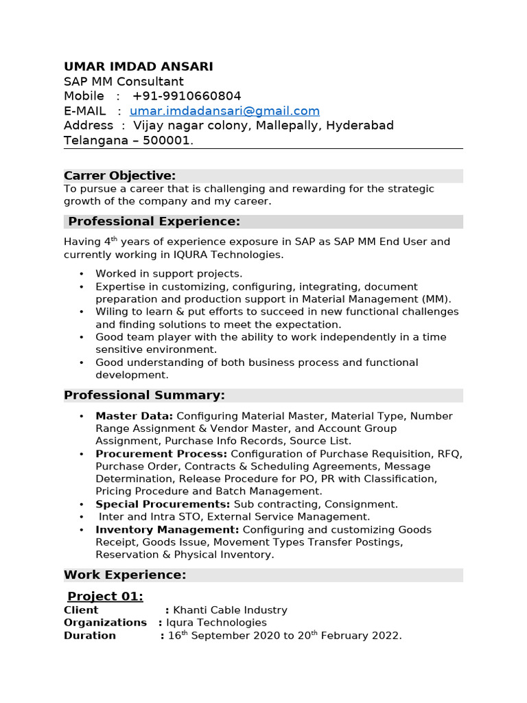 Umar Imdad Ansari End User | PDF | Business | Computing