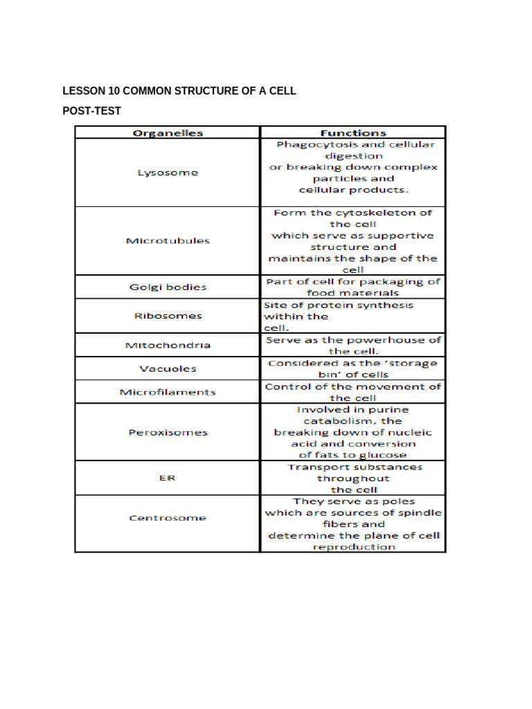 Lesson 10 Post-Test | PDF