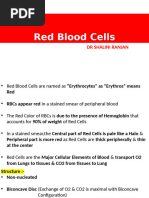 Red Blood Cell Diagram | PDF | Red Blood Cell | Blood