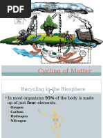 02 Biogeochem Cycles - Black and White | PDF | Nitrogen | Phosphorus