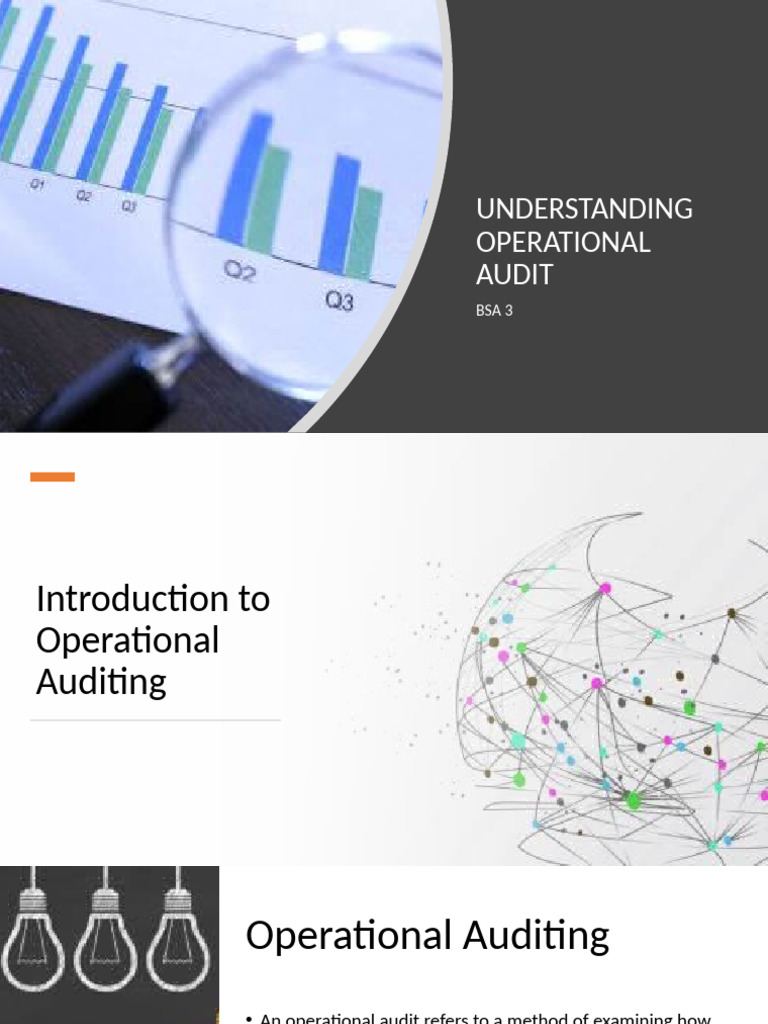 Operational Auditing Essentials | PDF | Audit | Internal Control