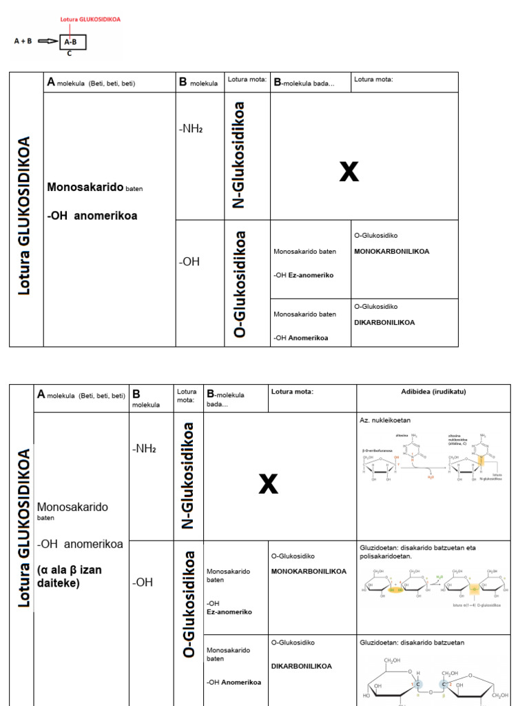 1.lotura Glukosidikoa, Taula Beteta | PDF