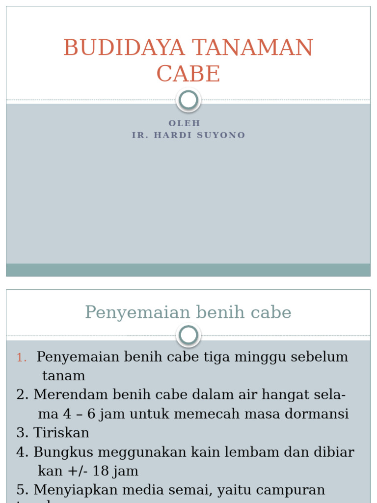 Budidaya Tanaman Cabe | PDF