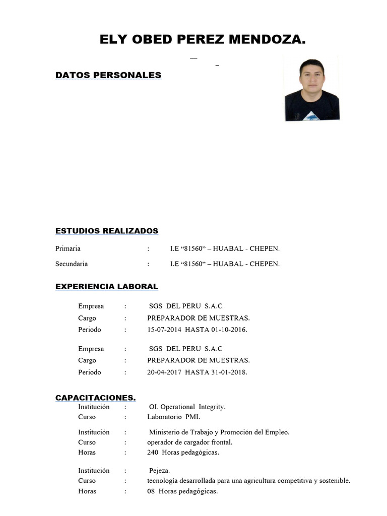 Curriculum Vitae Ely. | PDF
