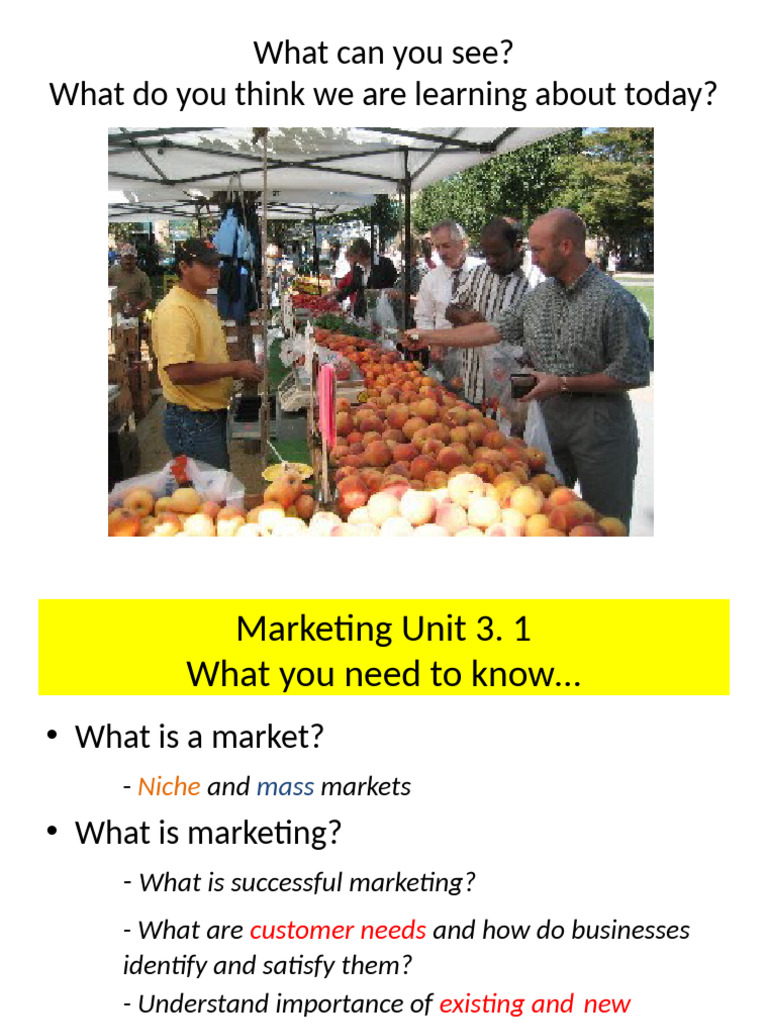 Understanding Mass and Niche Markets | PDF | Marketing | Market (Economics)