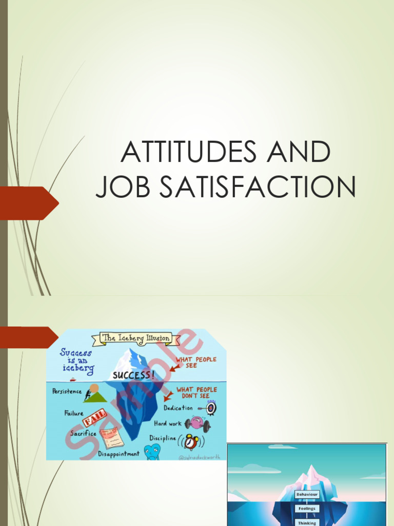 Chapter 2 - Attitudes and Job Satisfaction 1 | PDF | Attitude ...