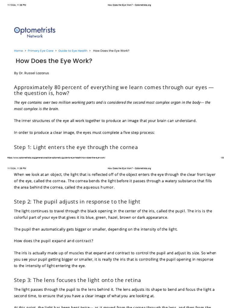 How the Eye Processes Vision | PDF | Eye | Retina