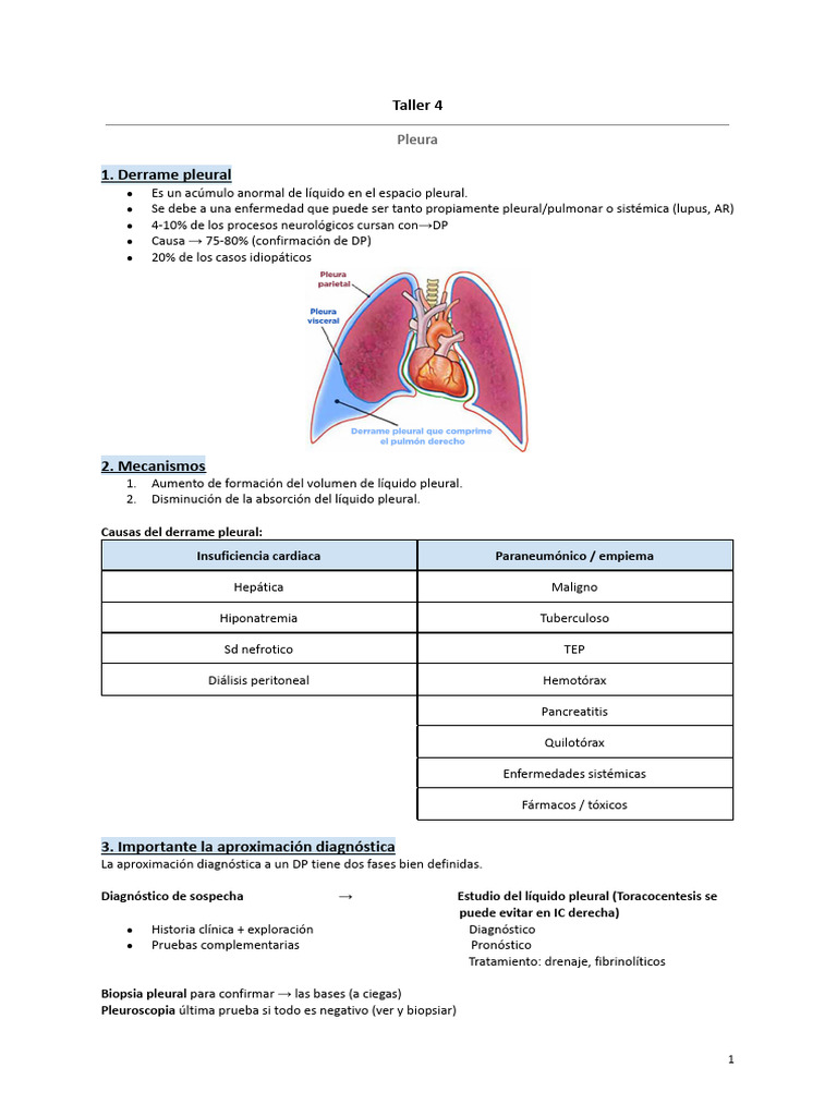 Taller 4 RESPI | PDF | Medicina CLINICA | Especialidades Medicas