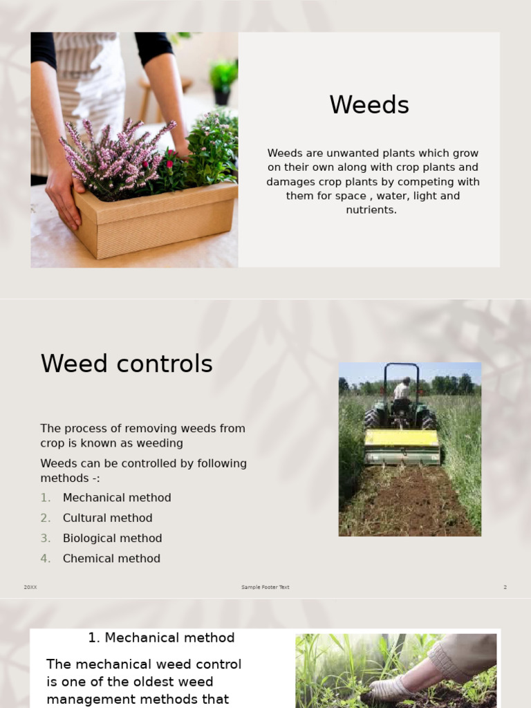 Types of Weeds and Weeds Control | PDF