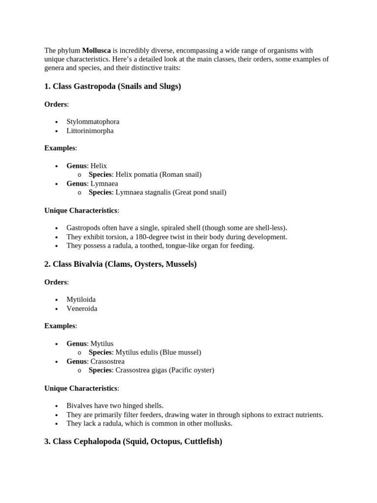 Overview of Mollusca Classes and Traits | PDF | Mollusca | Bivalvia