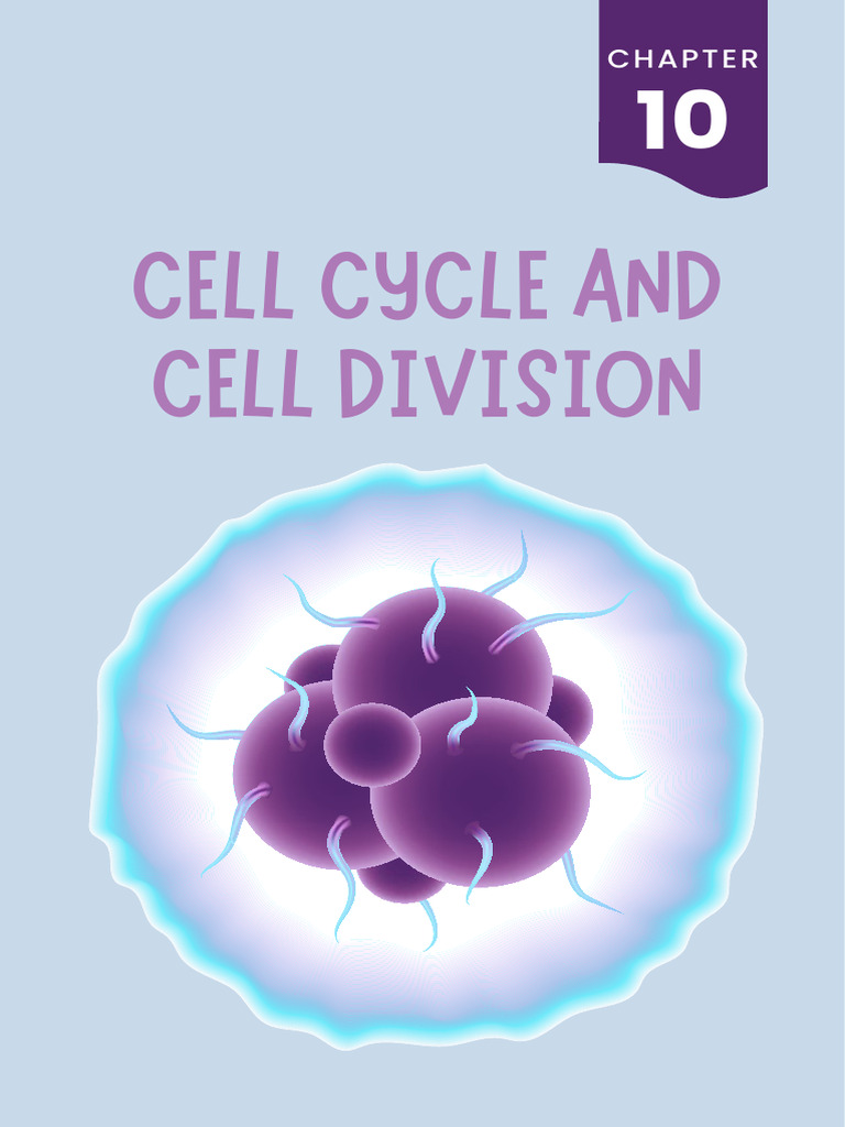 Cell Cycle and Cell Division | PDF | Meiosis | Mitosis