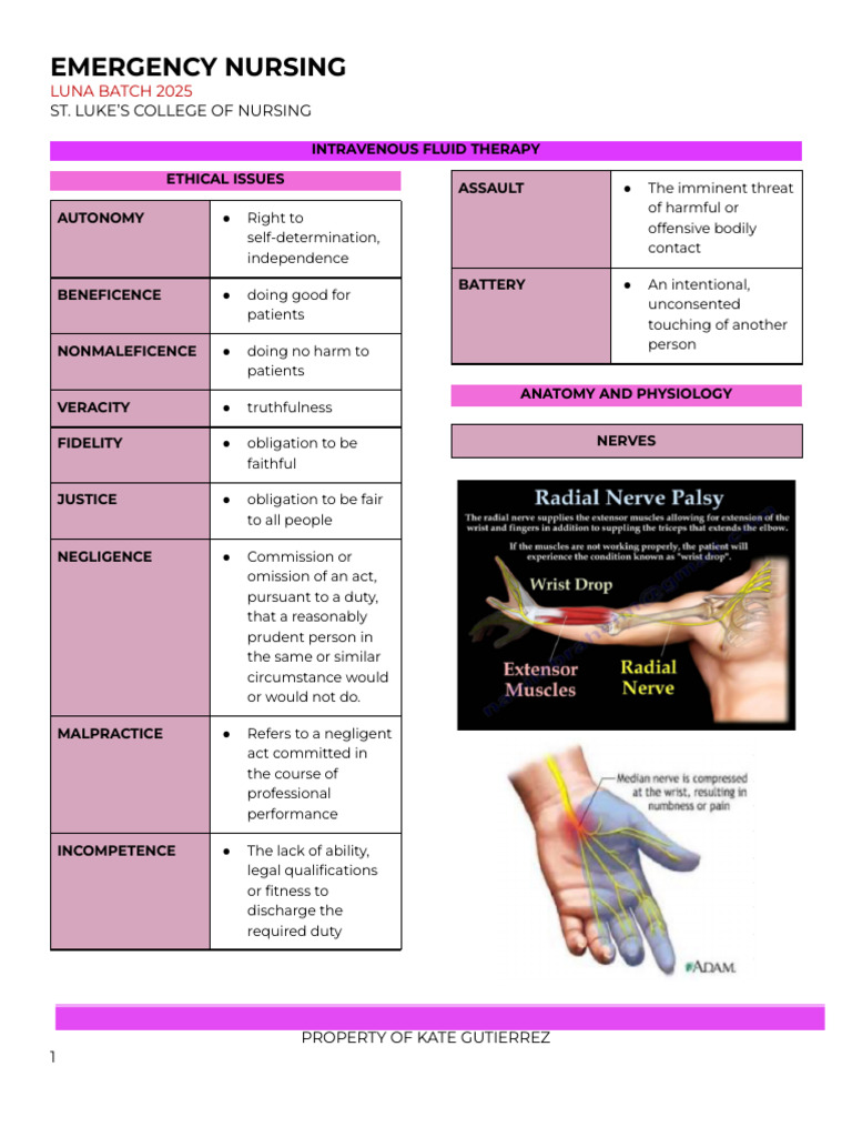 Step-by-Step IV Cannula Insertion Guide | PDF | Vein | Intravenous Therapy