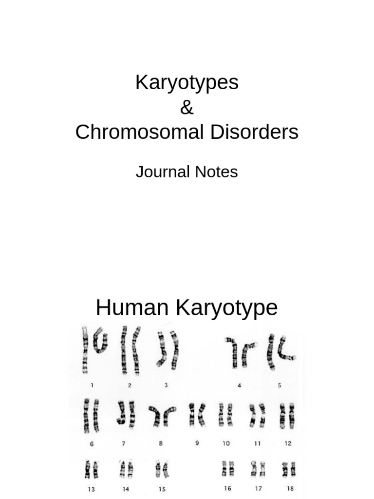 Karyotypes and Chromo Disorders Notes | PDF | Karyotype | Syndrome