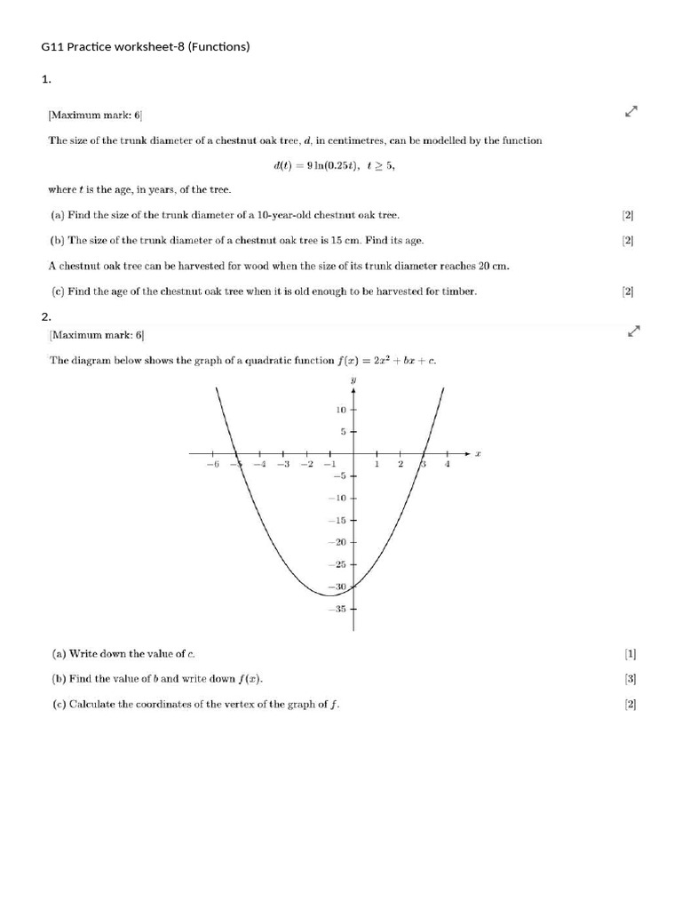 G11 Practice Worksheet (Functions) | PDF