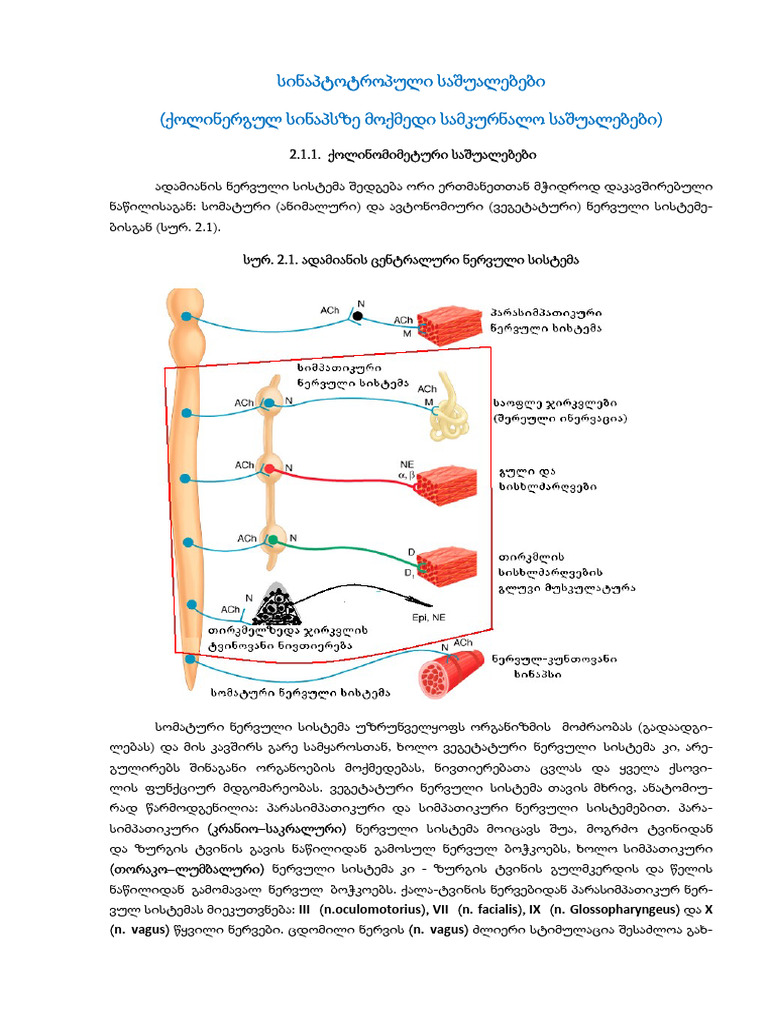 ლექცია N7 | PDF